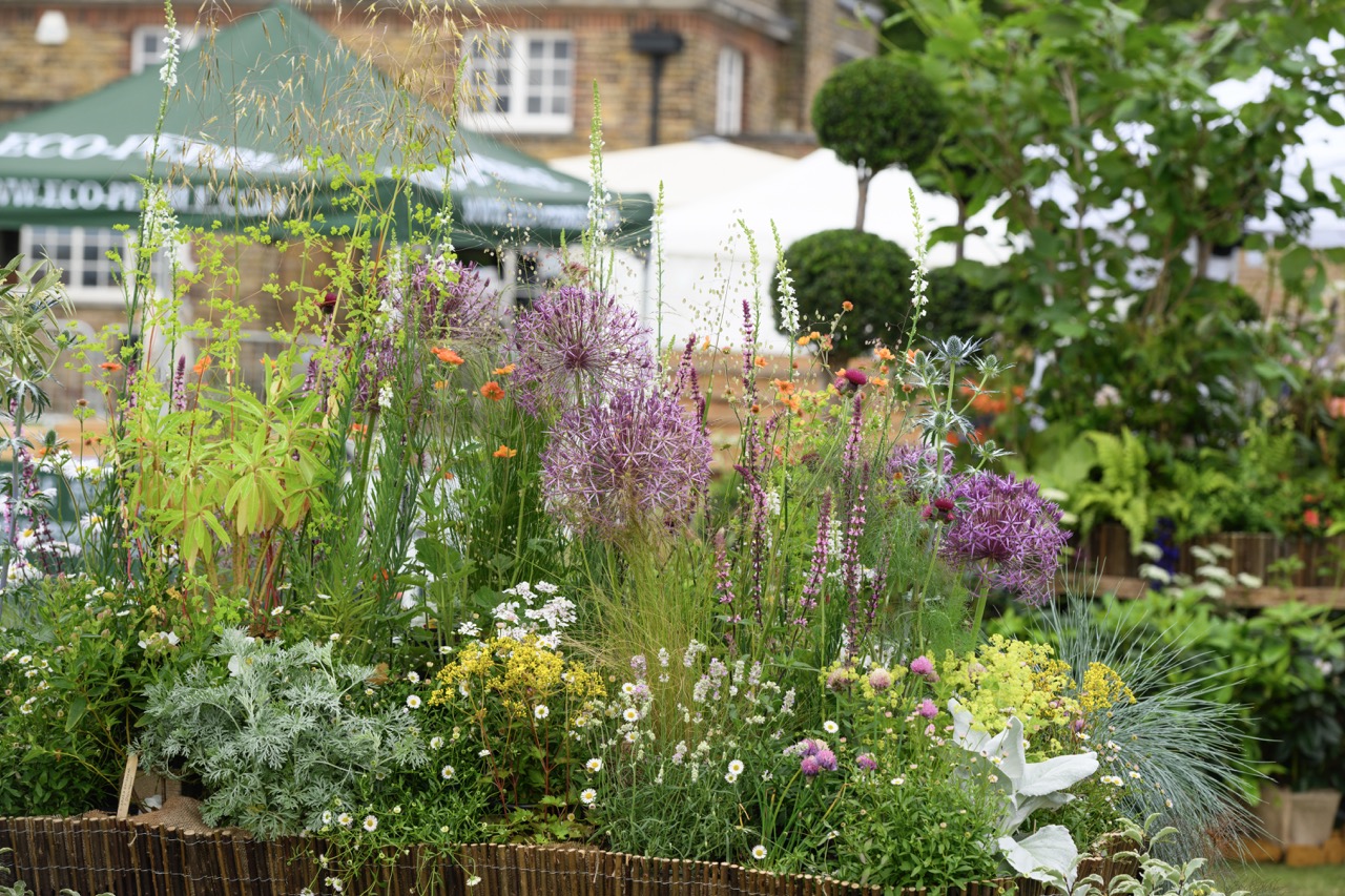 Royal Windsor Flower Show - The Royal Windsor Rose & Horticultural Society
