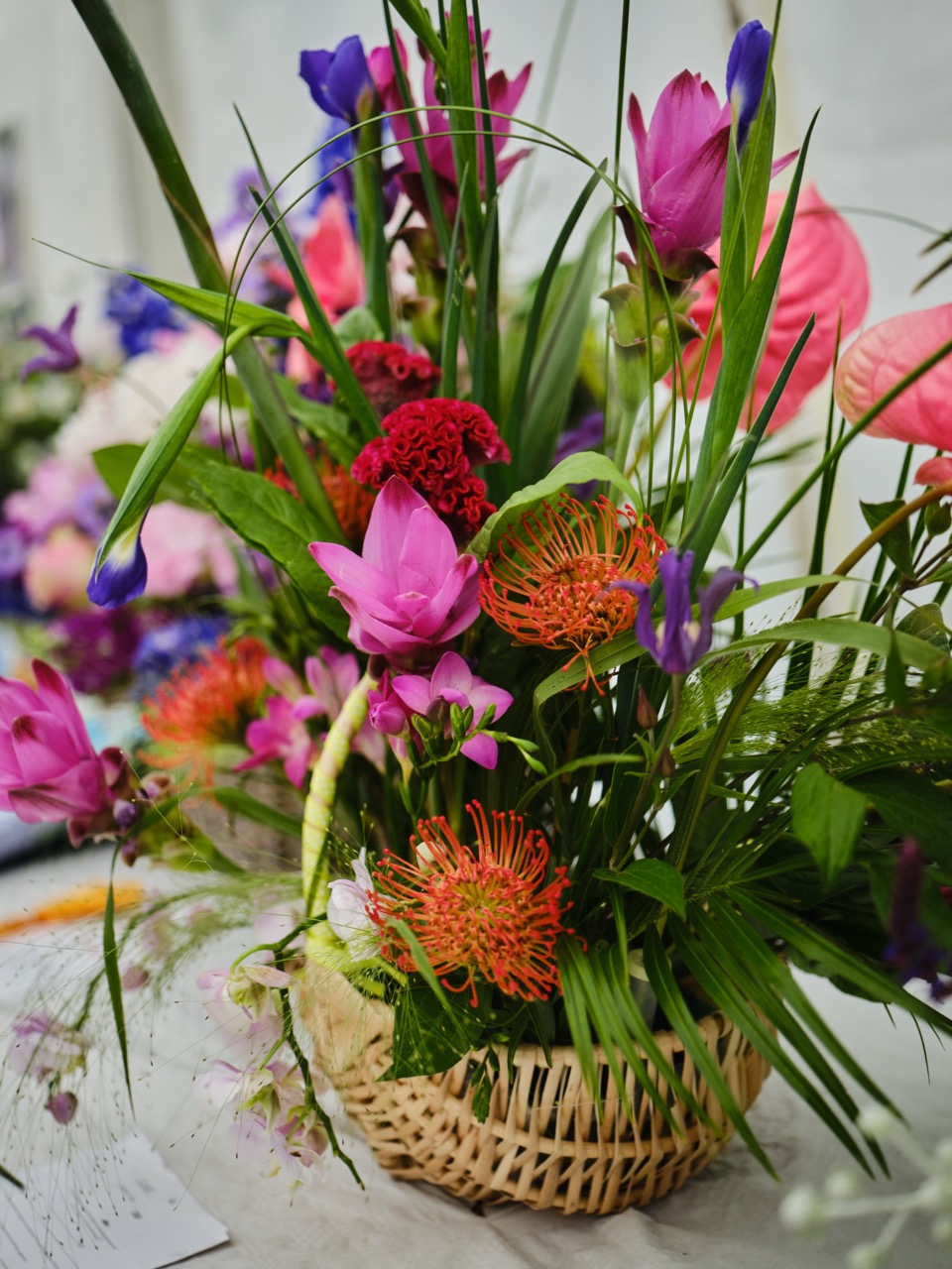 Royal Windsor Flower Show - The Royal Windsor Rose & Horticultural Society